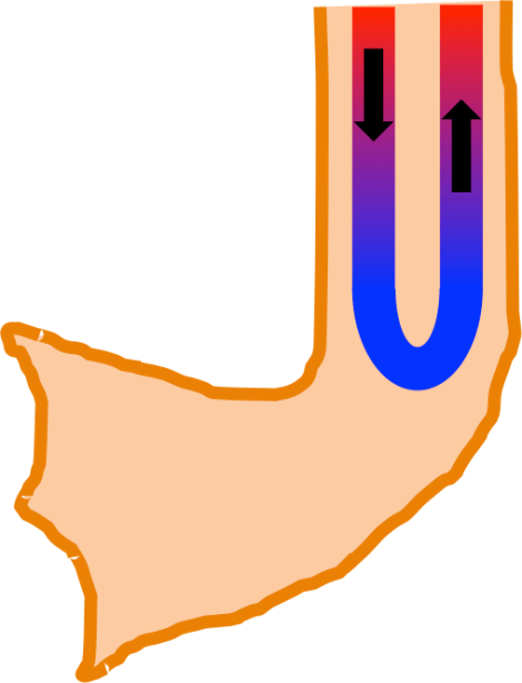 How do birds keep warm? | Tough Little Birds
